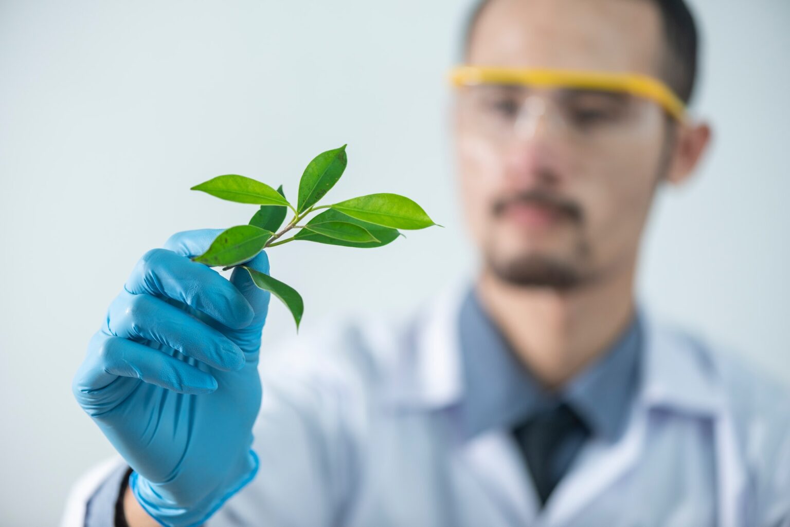 Herbal Testing Laboratory | Herbal Analysis & Column Chromatography Lab ...
